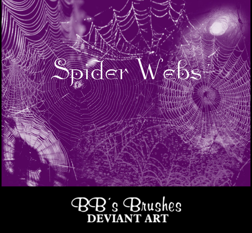 Spider WebsPhotoshop Free brushes, Photoshop Fonts | BRUSHEZ